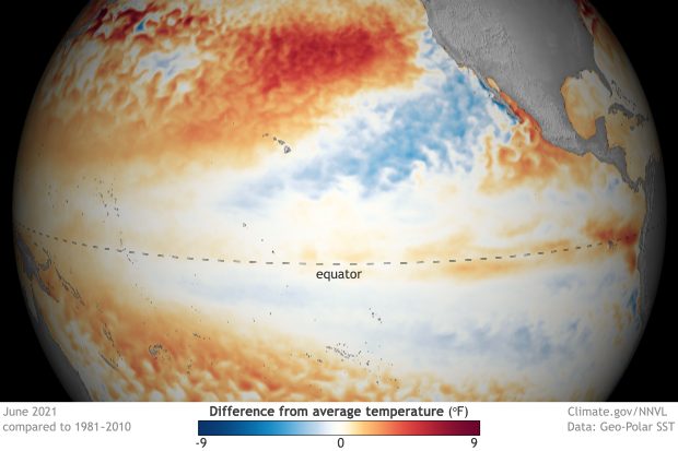 July 2021 ENSO update: La Niña Watch | Reliable Energy July 2021 ENSO update: La Niña Watch | Reliable Energy